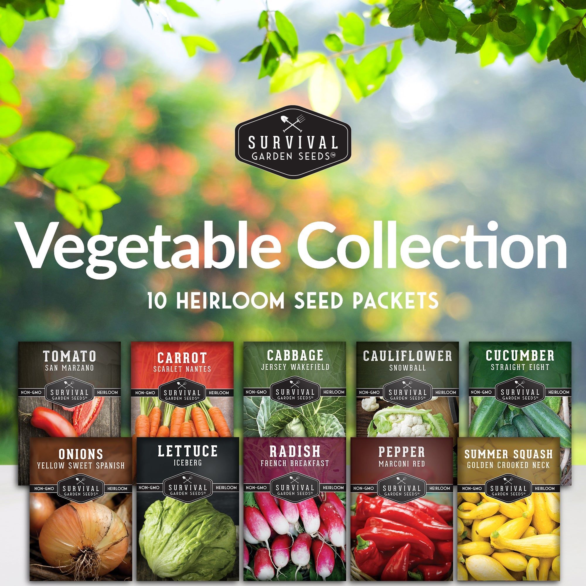 10 Heirloom Non-GMO Vegetable Seed Collection – Open-Pollinated Variet ...