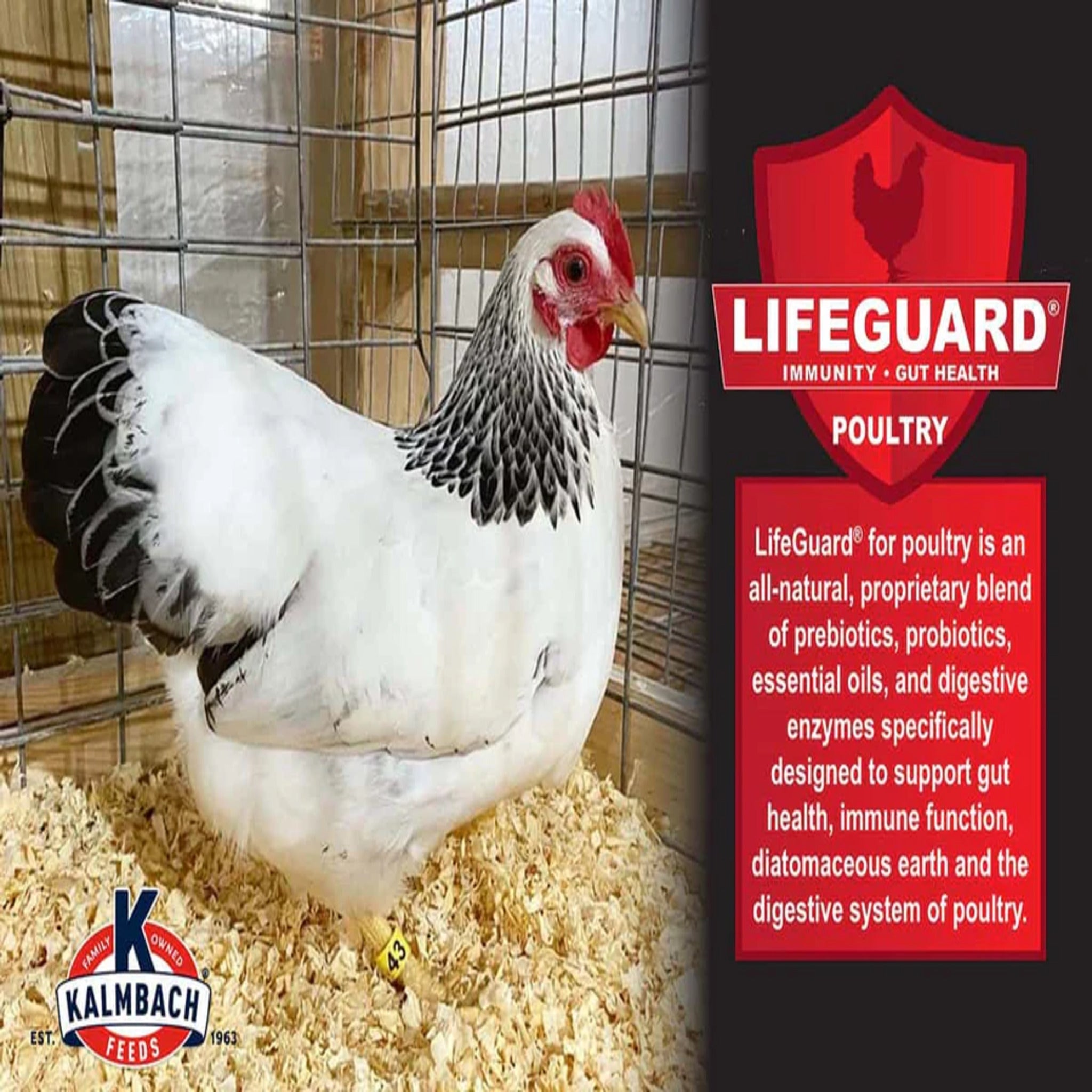 24% Show Bird Poultry & Gamebird Starter Grower - 5 lb – Mother Earth News