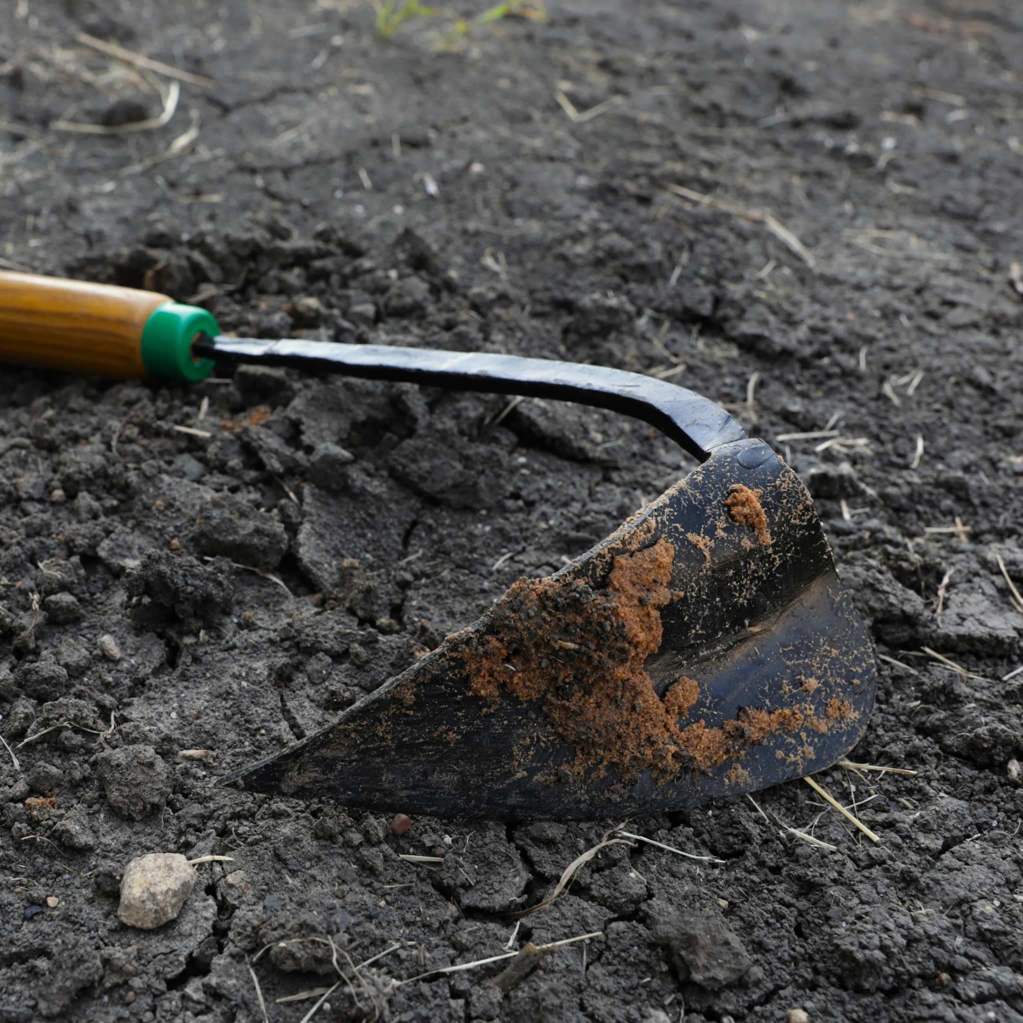Ez-Digger Korean Triangle Blade | Short Handle – Mother Earth News