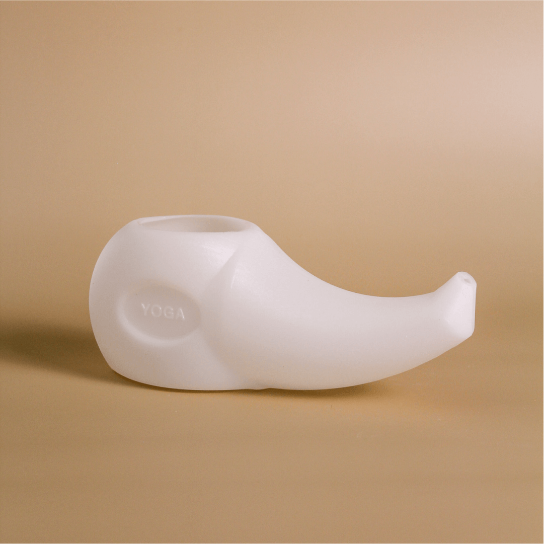 Travelers Neti Pot (Plastic) – Mother Earth News