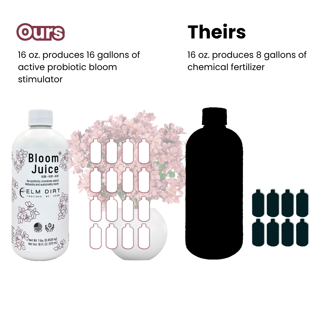 Bloom Juice Award-Winning Formula – Mother Earth News