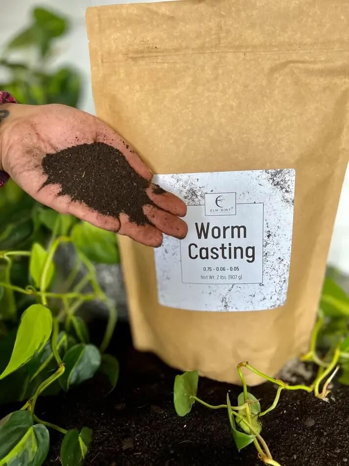 Worm Castings – Mother Earth News